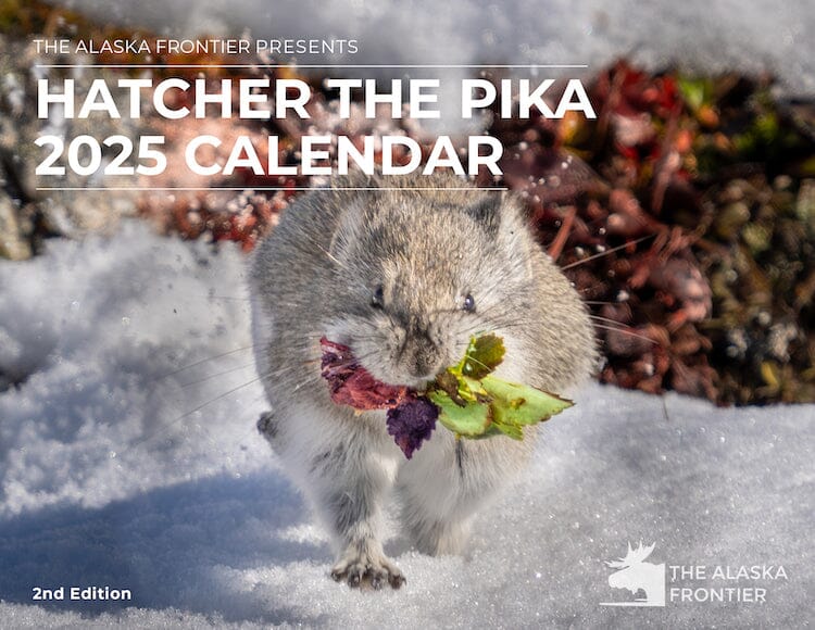 Hatcher The Pika 2025 Calendar From Alaska | Now Shipping - The Alaska ...