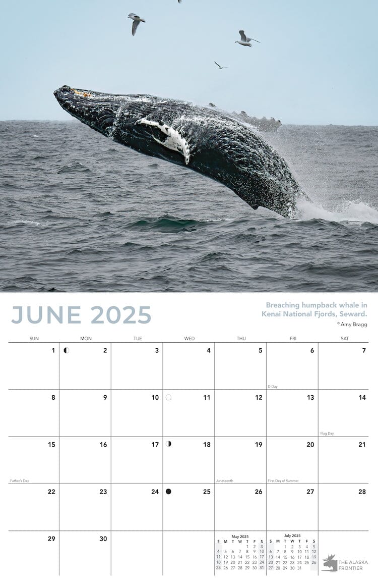 2025 Alaska Wildlife Calendar | Get Free Shipping - The Alaska Frontier