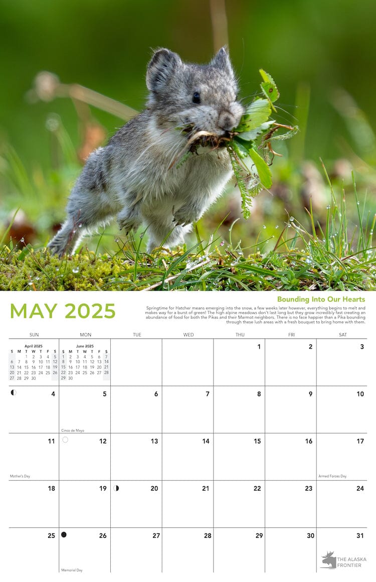 Hatcher The Pika 2025 Calendar From Alaska | Now Shipping - The Alaska ...